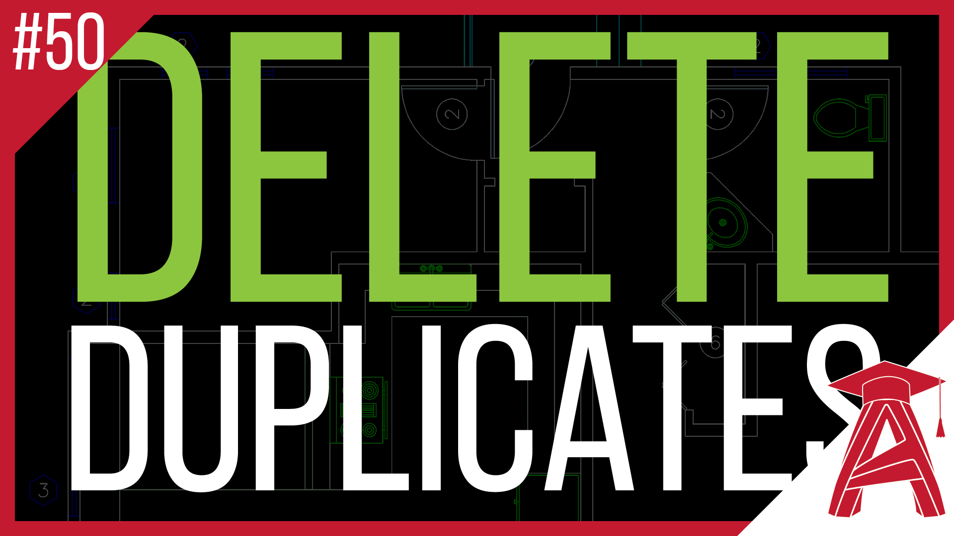 Delete Duplicates AutoCAD Student